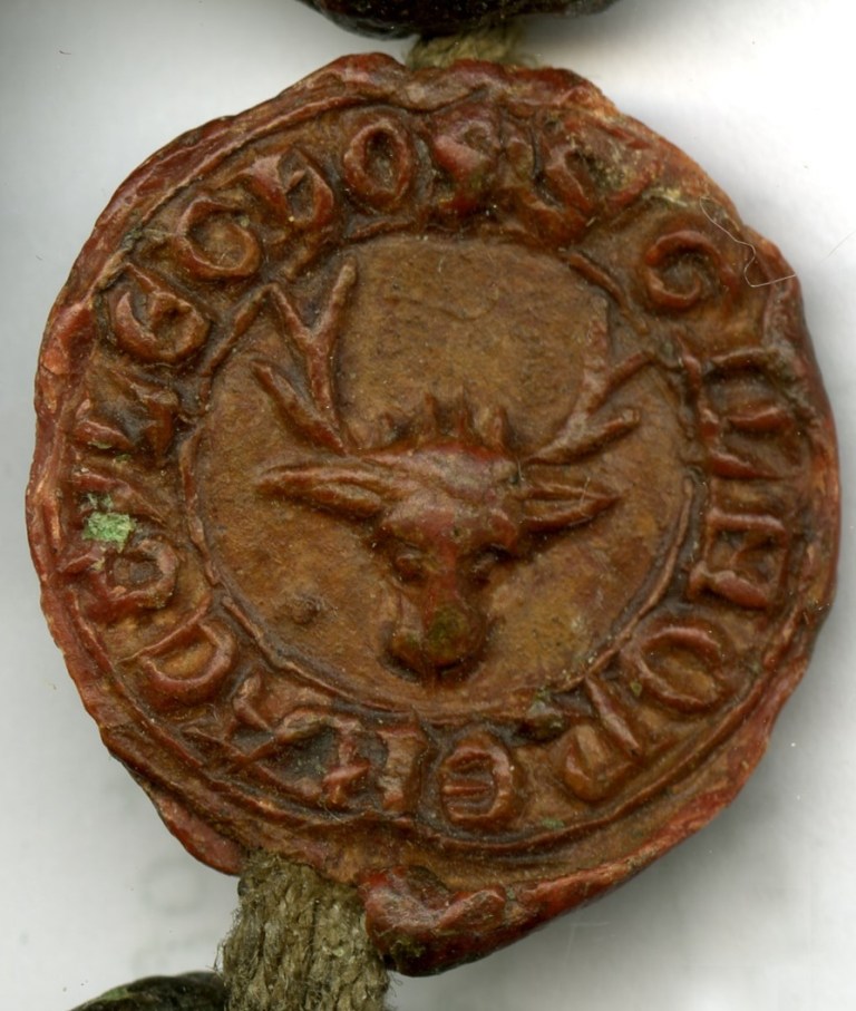 THE COAT OF ARMS – Clan Mackenzie Initiative