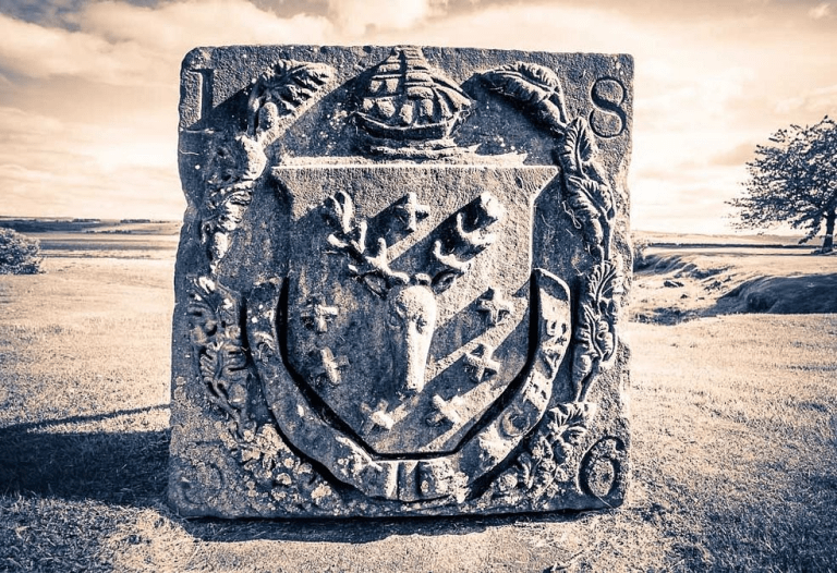 THE COAT OF ARMS – Clan Mackenzie Initiative